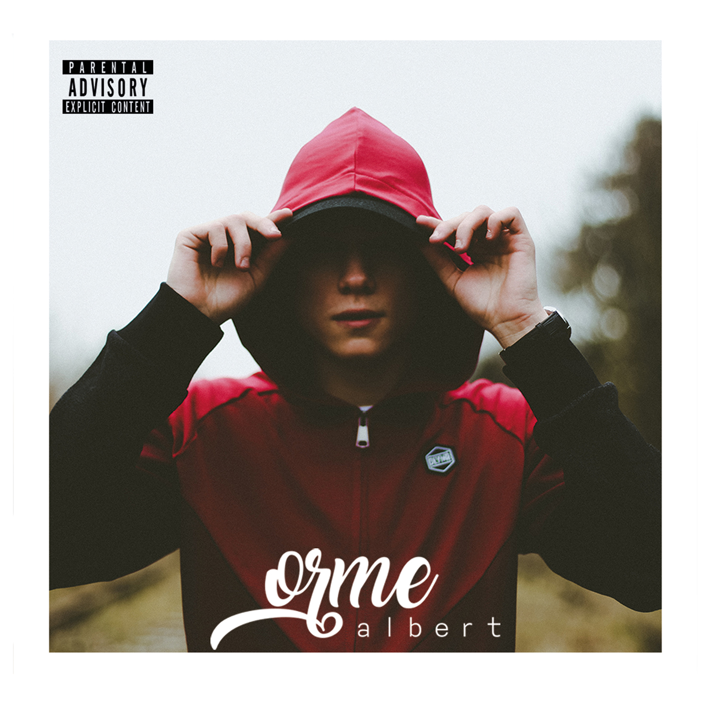 Il debutto di Albert nella discografia arriva con "Orme"